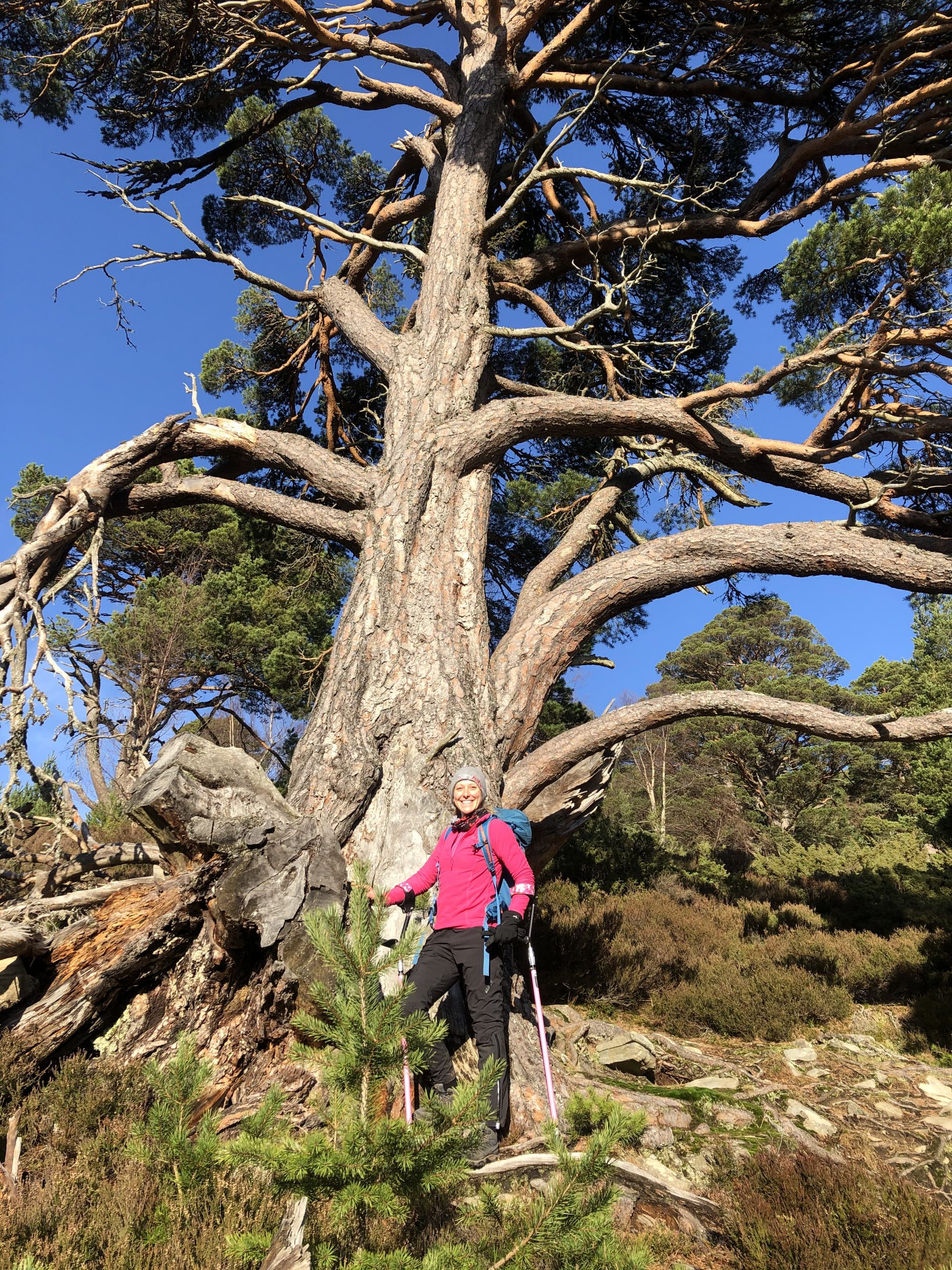 Embracing the Storm - SideStix